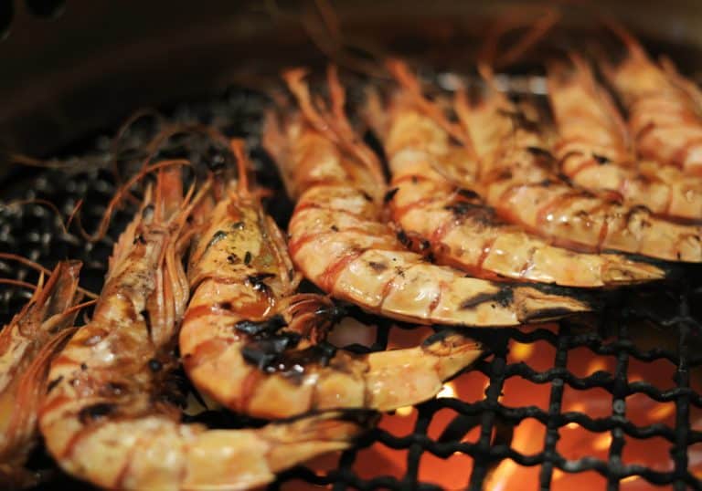Best Seafood in Barcelona: Top Picks for a Delicious Feast | BCN.travel